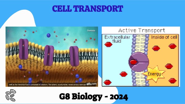 CELL TRANSPORT G8 | Genially