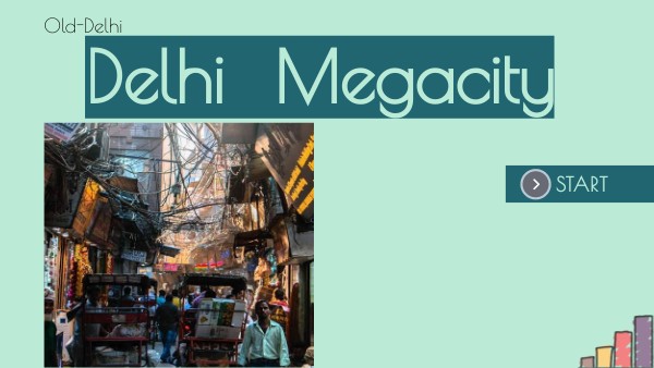 Copy - Delhi Megacity