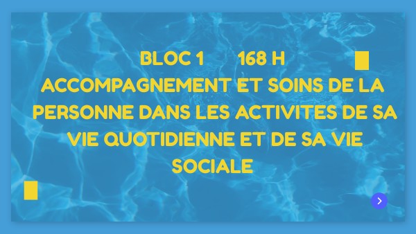 BLOC DE COMPETENCES 1
