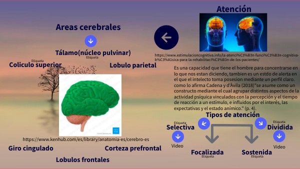 FREDY CASTRILLON | Genially