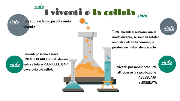 Scienze La cellula