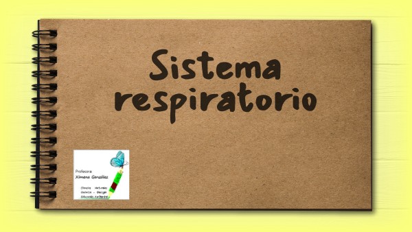 Sistema respiratorio_5 año | Genially
