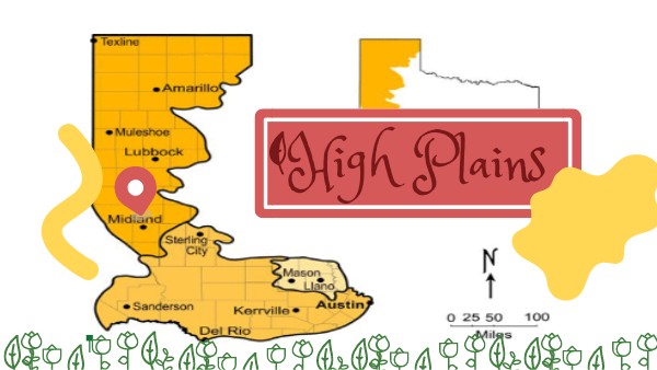 High plains PRESENTATION | Genially