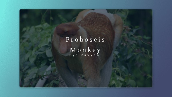 Y6C Rayyan - Proboscis Monkey | Genially