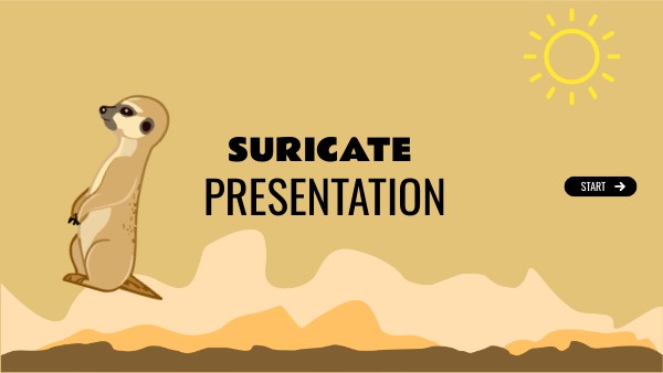 Suricate presetation