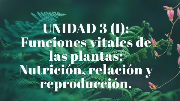 funciones vitales en las plantas | Genially