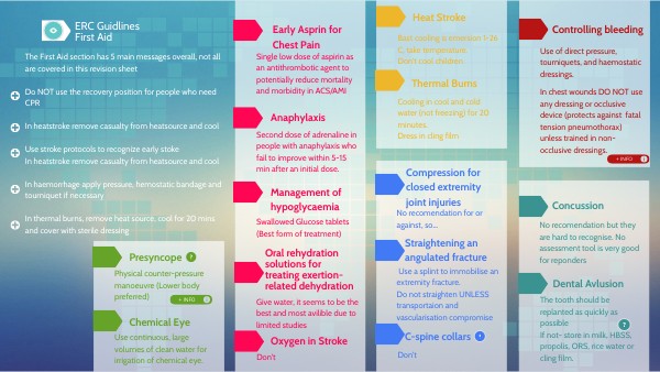 Overview revision sheet ERC Guidlines | Genially