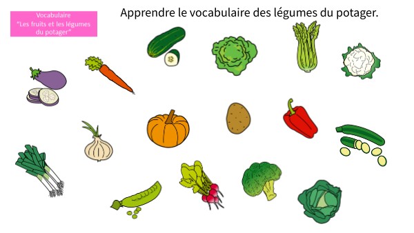 Vocabulaire des légumes
