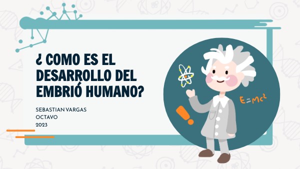 ¿ COMO ES EL DESARROLLO DEL EMBRIÓ HUMANO?