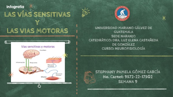 Tarea Semana 9 - Vías Sensitivas y Motoras - Stephany Gome | Genially