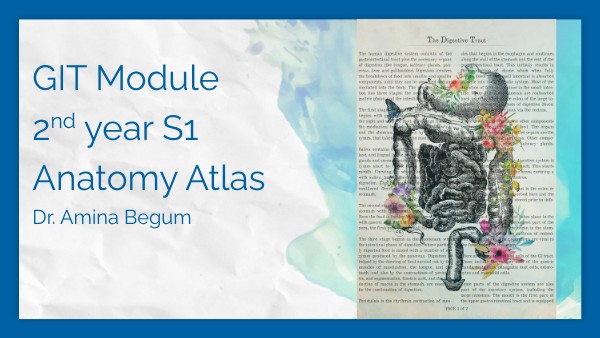 GIT MODULE_Anatomy Atlas