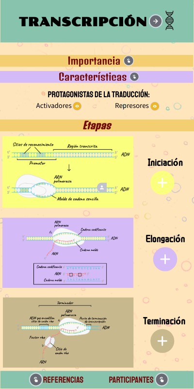 Transcripción | Genially