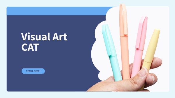 VISUAL ART CAT: Folio