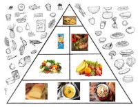 Food pyramid | Genially
