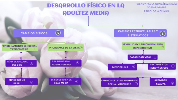 MAPA CONCEPTUAL DESARROLLO FÍSICO EN LA ADULTEZ MEDIA | Genially