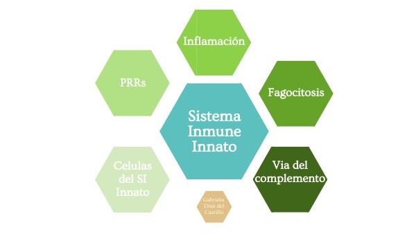 Sistema Inmune Innato | Genially