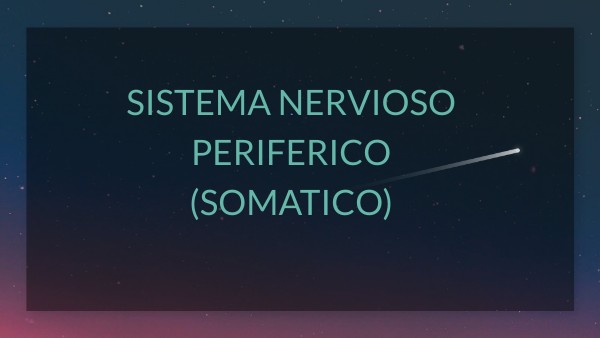 SISTEMA NERVIOSO PERIFERICO (SOMATICO)