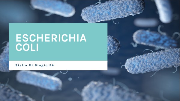 Echerichia Coli