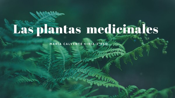 Las plantas medicinales