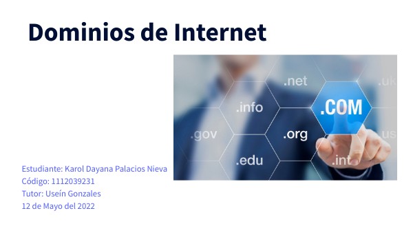 Dominios de Internet