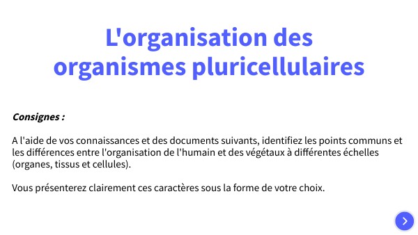 L'organisation des organismes pluricellulaires | Genially