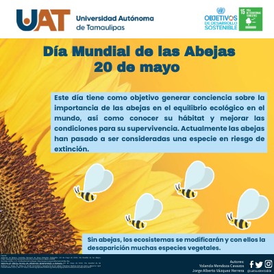 Día Mundial de las Abejas
