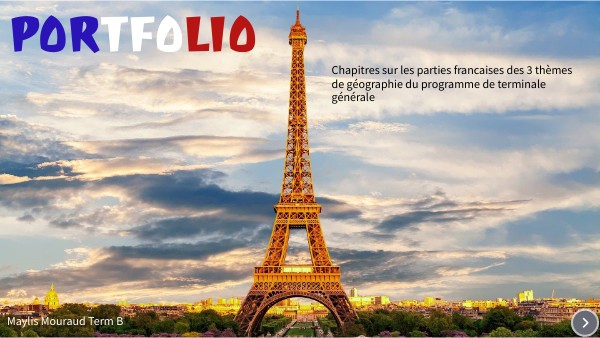 Portfolio Terminale | Genially