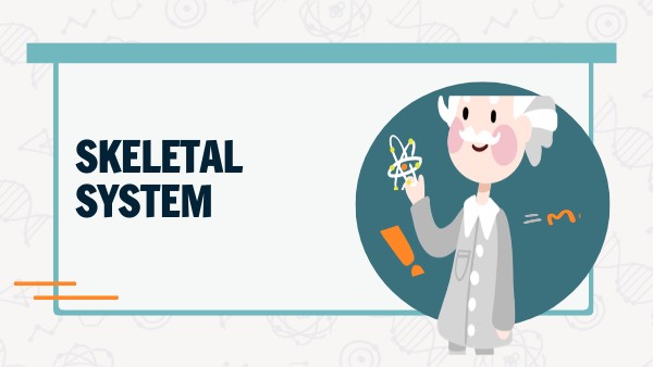 Skeletal system