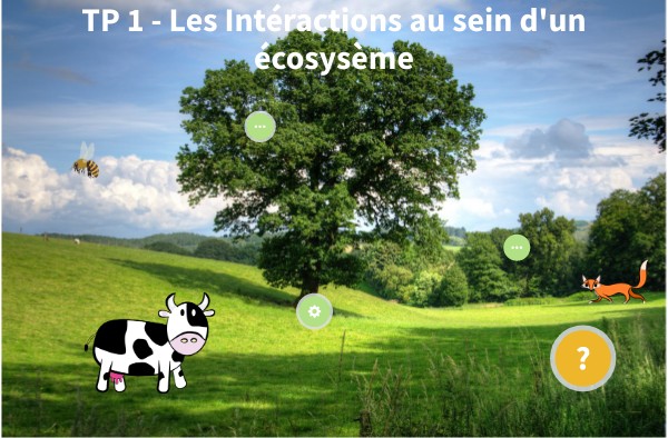 TP- Interactions au sein d'un écosystème partage | Genially