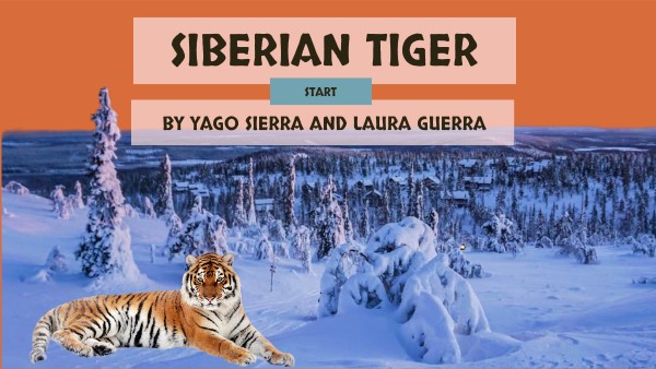 SIBERIAN TIGER | Genially