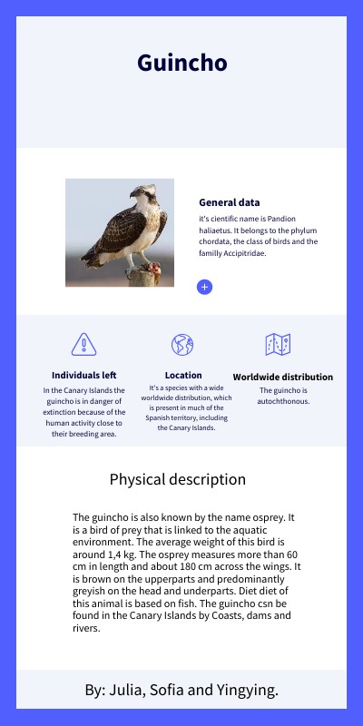 Copy - BASIC INFOGRAPHIC