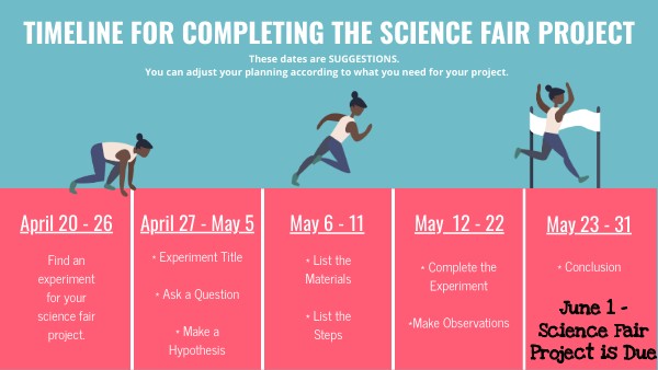 Science Fair Project Timeline
