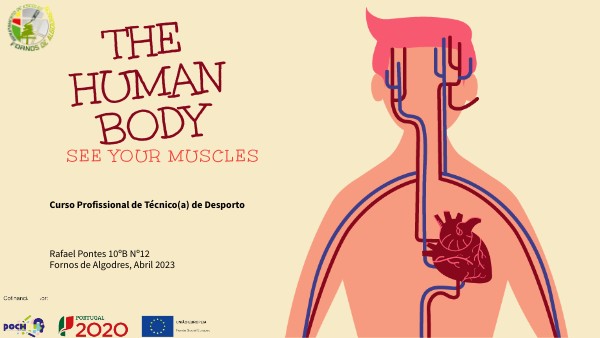 HUMAN BODY PRESENTATION