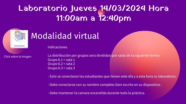 Bite de aprendizaje | Genially