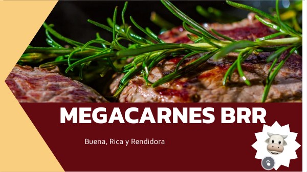 CATÁLOGO MEGA CARNES BRR