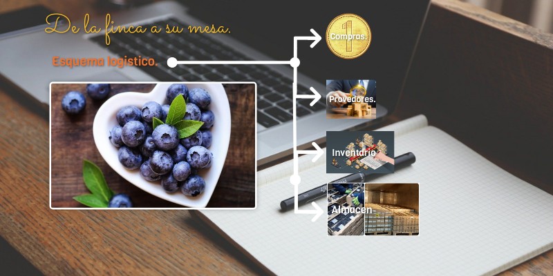 DE LA FINCA A SU MESA | Genially