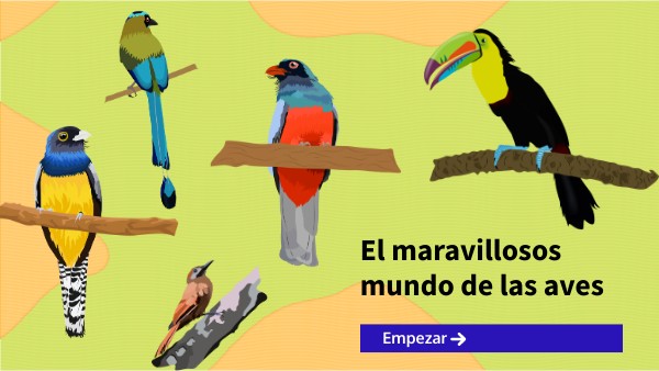 EL MARAVILLOSO MUNDO DE LAS AVES | Genially