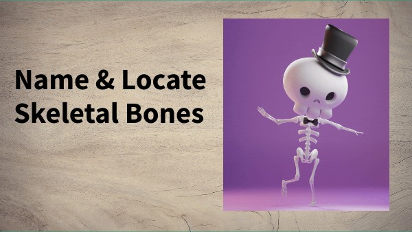Bone Review Game | Genially