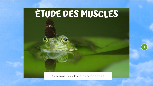 Étude des muscles - Comment sont-ils commandés? | Genially
