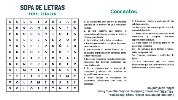 Sopa de letras - Célula | Genially