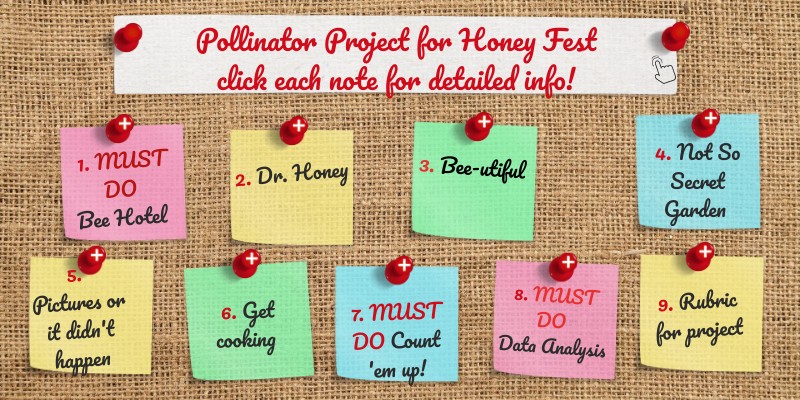 Pollinator Project