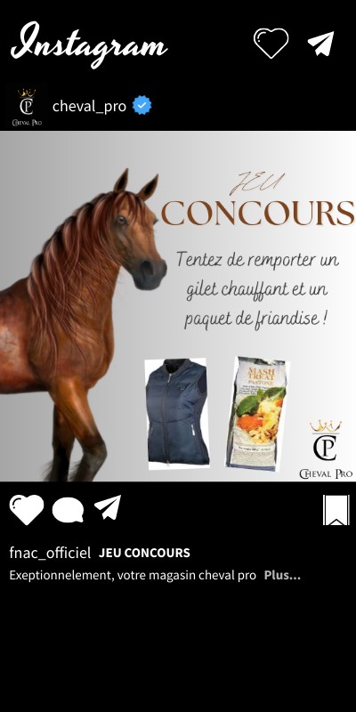 Instagram cheval pro | Genially