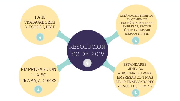 Resolución 312 de 2019