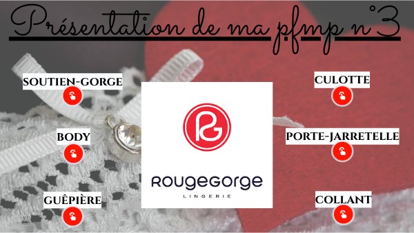 PFMP n°3- Rouge Gorge
