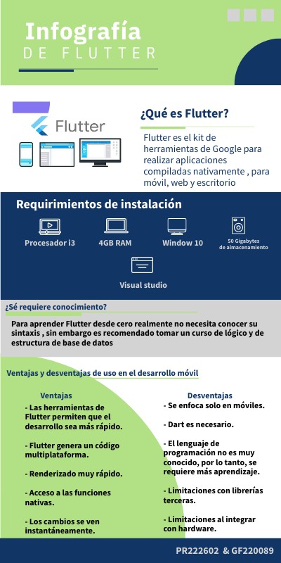 Inforgrafia flutter | Genially