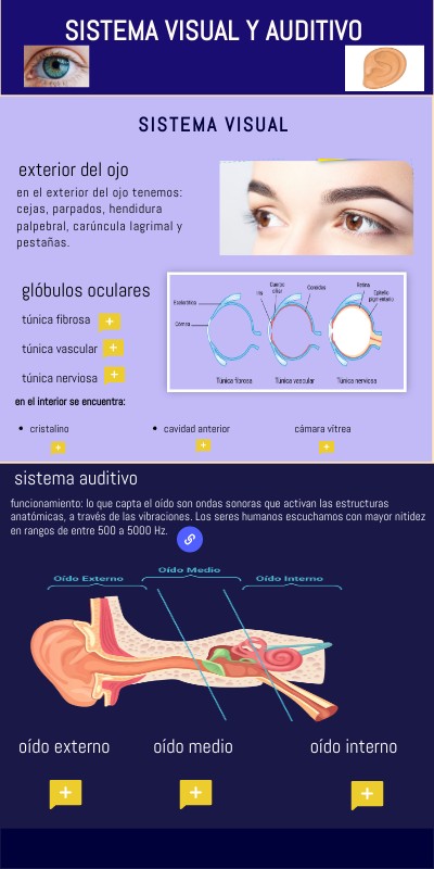 sistema visual y auditivo | Genially