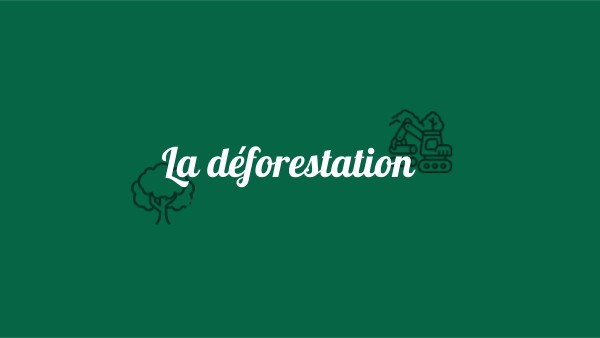 la déforestation | Genially