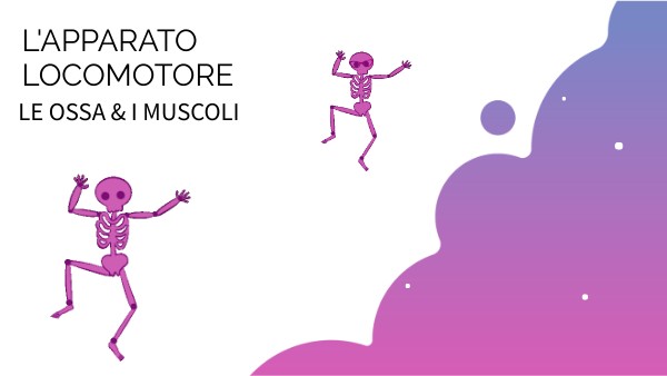 l'apparato locomotore | Genially