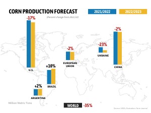 Corn Production Forecast