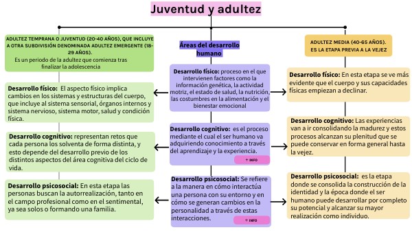 Mapa conceptual de la juventud y adultez | Genially